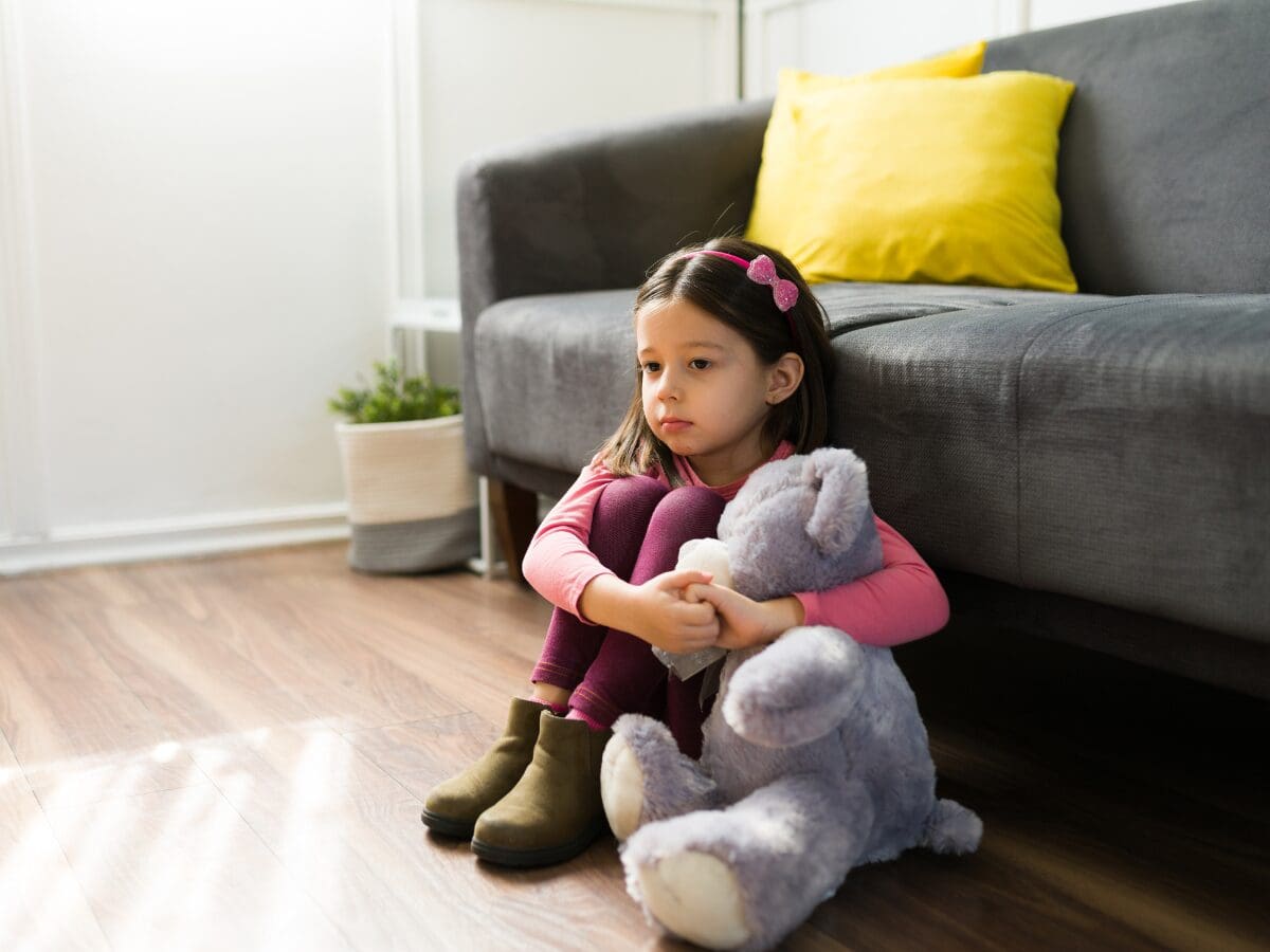 San Diego Parental Alienation and Custody Disputes